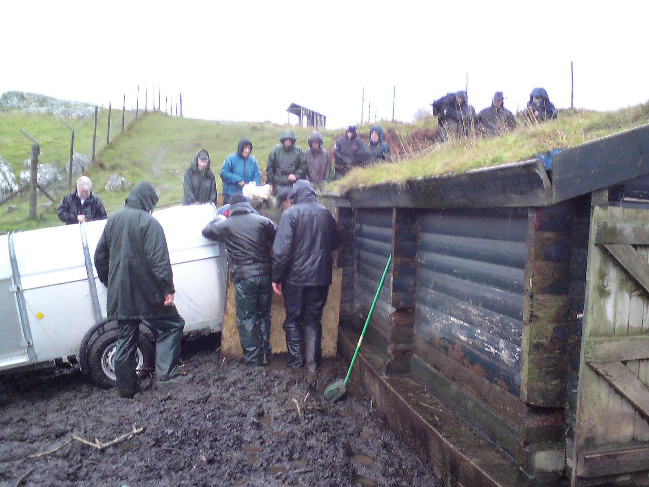 Wild Boar, Bison and mass media coverage. | Life since the office